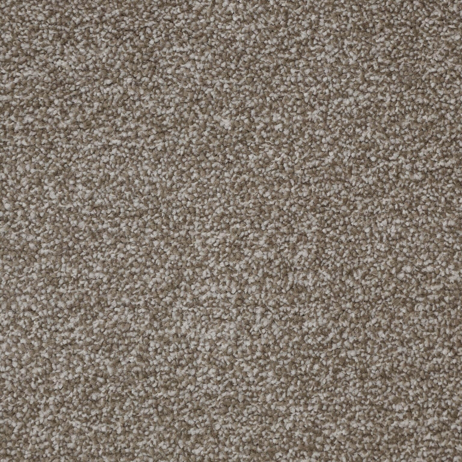 Fantastic Soft Truffle | Polypropylene Carpet | Kingsmead