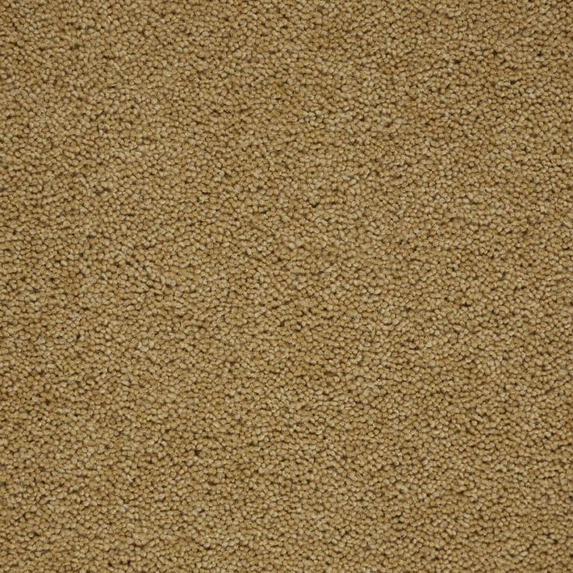 Yellow Carpet | Home Carpets | Kingsmead